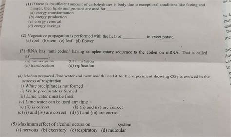 Trna Has Anti Codon Having Complementary Sequence To The Codon On Mrna