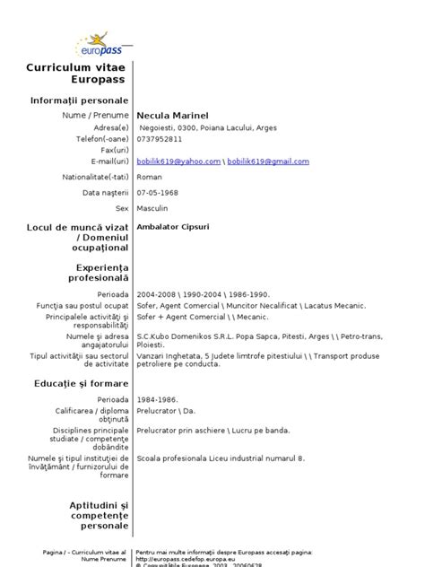 Model Cv Curriculum Vitae European Romana
