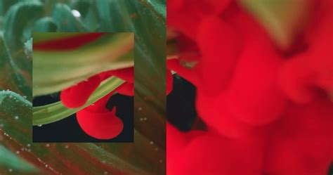 Lg X Fosters And Partners On Behance