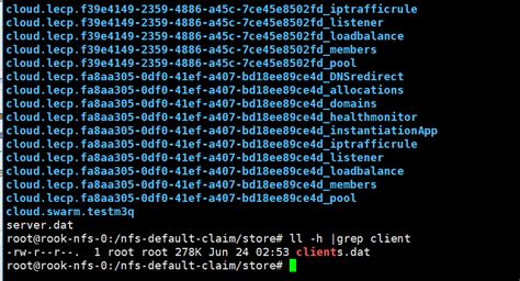 The Nats Cluster To Crash One Of The Client Dat In The Cluster Is Corrupted Issue