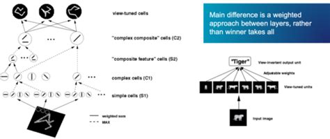 Perception Object Recognition Flashcards Quizlet