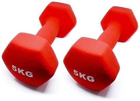 Купить Гантель Sport Fit гантель цельнолитая 2 шт 10 кг в Алматы Магазин на Kaspi Kz