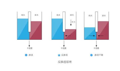 渗透压示意图 千图网