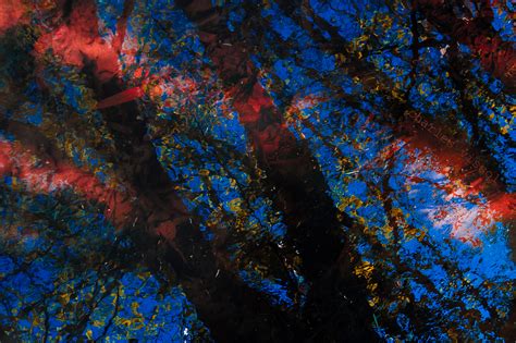 Practicing Cgroup V2 This Is My Last Article About Cgroup To By Charles Vissol Medium