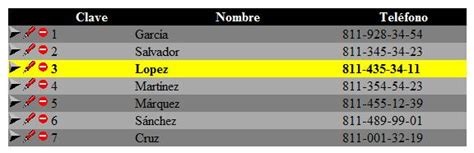 Ne Object Seleccionar Registros De Un GridView