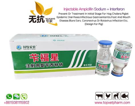 Treatment In Initial Stage Pig Hog Cholerapiglet Epidemic Diarrhoea