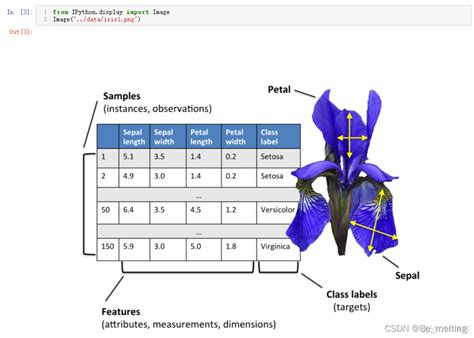 【机器学习】逻辑回归案例二：鸢尾花数据分类，决策边界绘制逐步代码讲解51cto博客逻辑回归 鸢尾花