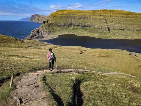 Отмечаем Levik — Livejournal