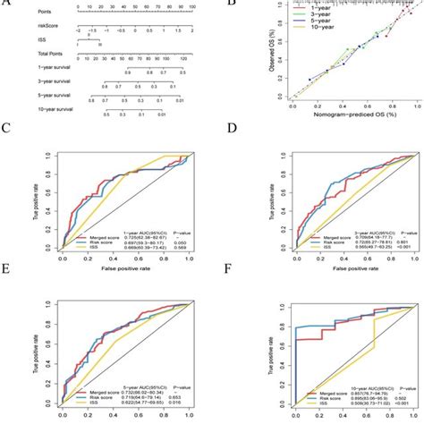 Building And Validation Of The Nomogram To Predict The Overall Survival