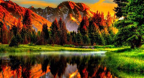 Download 4k Nature At Golden Hour Wallpaper