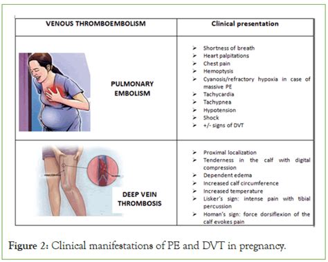 The Latest Evidence Of Risks And Management Of Venous Thromboembolism