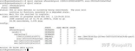 Zfs软阵列raidz1降级跑分与重建 知乎