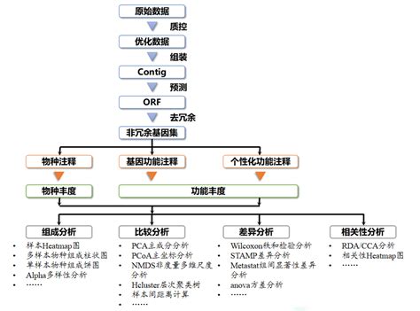 宏基因组