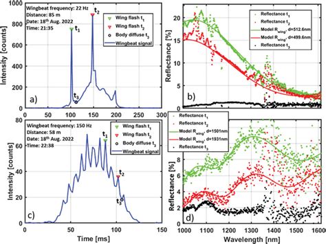 Examples Of Hyperspectral Lidar Signals From Unknown Free Flying Download Scientific Diagram