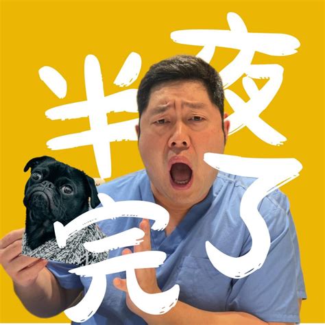 杜克動物醫院 半夜你家狗狗意外吞下異物立刻帶到杜克就診夜間急診開放中