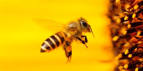 Mysql Security Tips Rubber Dragon Wordpress Websites