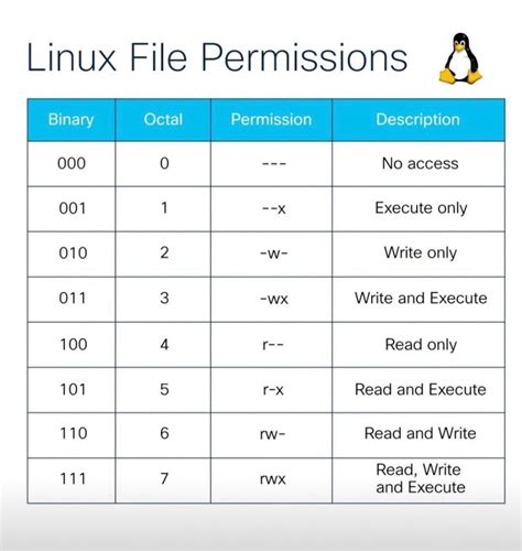 nursaid k on linkedin linux filepermissions cybersecurity