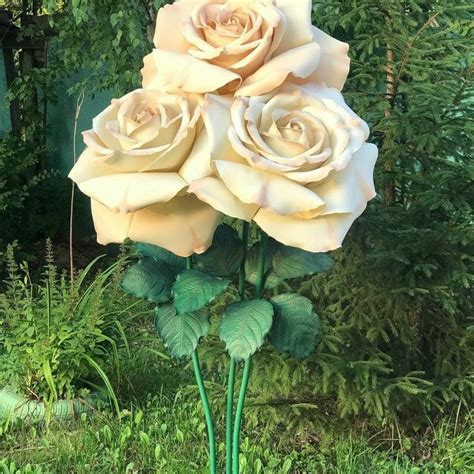 Розы Шебби шик