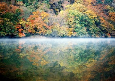 사랑이 솔솔 ~ 연인과 함께 떠나는 단풍축제 Best3