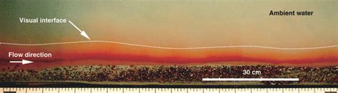 Experiment 56 Illustrating Hybrid Salineturbidity Current Over