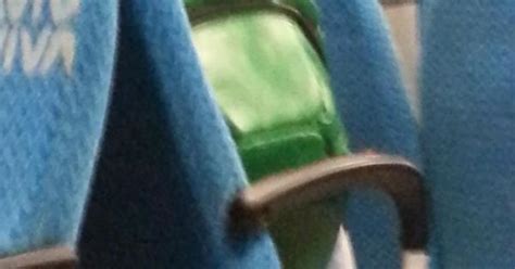 Update Got Better Pics Guy On Same Bus As I Has A Tuttle Shell