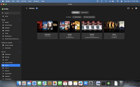 All My Media Libraries Are Displayed Twice Since 4880 Generalwindows Emby Community