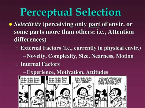 Ppt The Perception Process Powerpoint Presentation Free Download Id 2754851