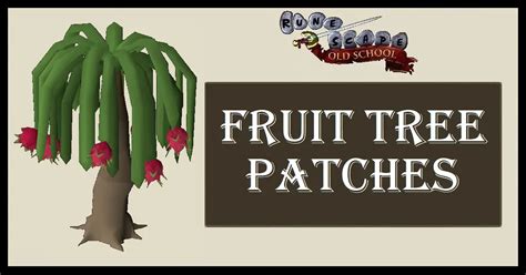Osrs Fruit Tree Patches Locations And Types