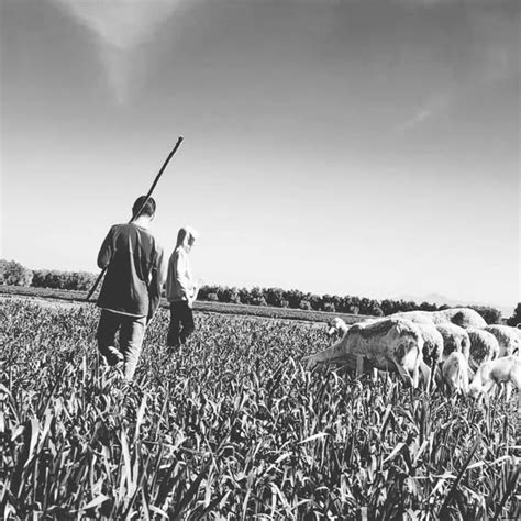 Wissam Hamri Wissam Crts • Threads Say More