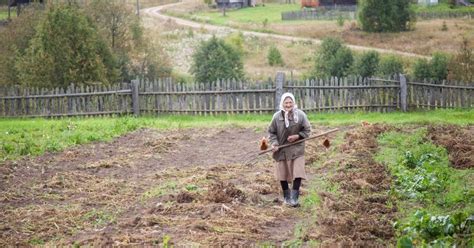 Порядок получения пенсий и пособий изменится в Беларуси с 1 июля Новости Mail