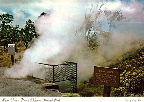 Continental Size Postcard Steam Vents At Hawaii Volcanoes National Park