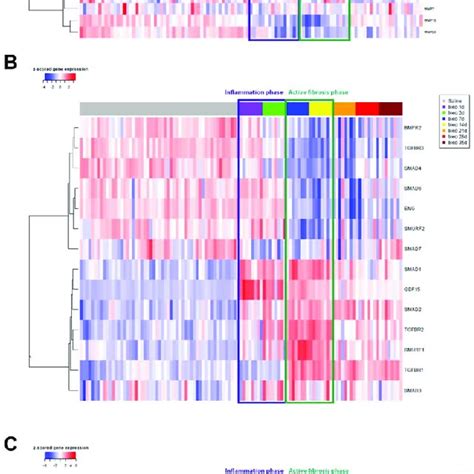 Supervised Hierarchical Clustering Of Custom Panels Of Genes Across All Download Scientific
