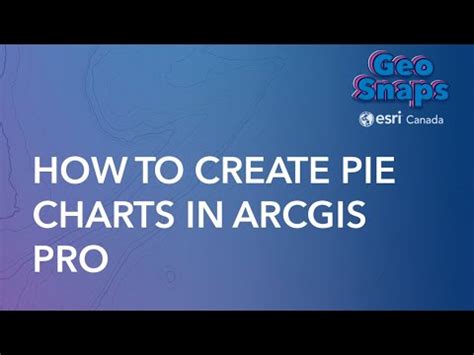 How To Create Pie Charts In ArcGIS Pro