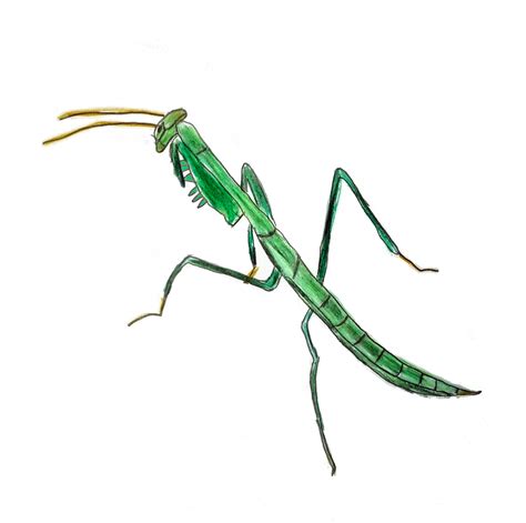 세밀화 그림어스 프로젝트 2