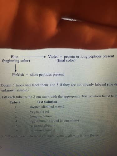 Biol 1021 Lab 2 Flashcards Quizlet