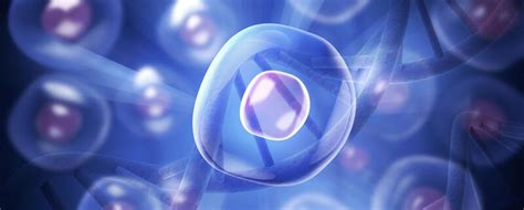 What Is Genotyping And How Does It Work Integra