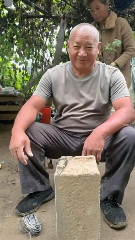 How To Grow A Bonsai Tree Bonsai Plants Bonsai Bonsai Garden