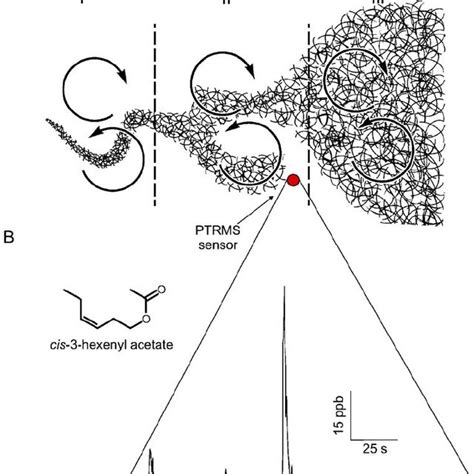Ecological And Odor Producing Physiological Activities Upper Five Download Scientific Diagram
