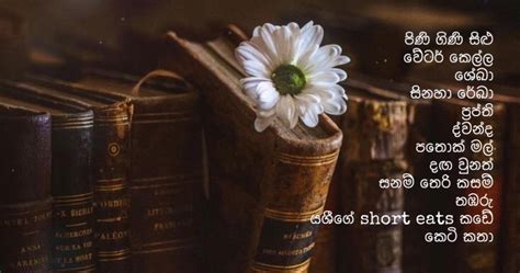 Slice Of Life ජීවිතයෙන් පෙත්තක් බලා පැලපෙමි නෙලා ගනු බැරි තැන