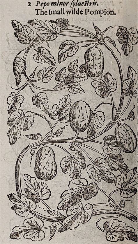 Small Wilde Pompiongerard2246013r Circulating Now From The Nlm