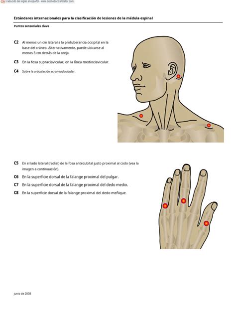 Sensitive Index Score Puntos Claves 1 En Es Pdf Extremidades