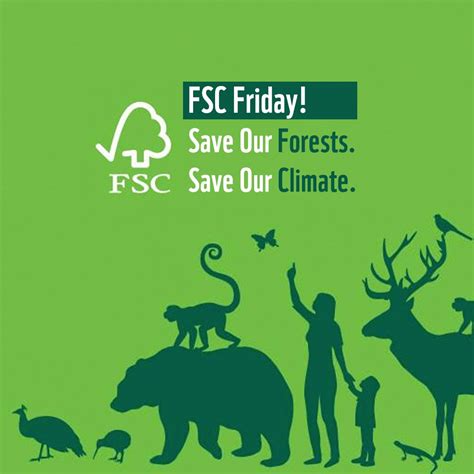 Wwf Korea 🌲오늘은 책임감 있는 산림 관리의 중요성을 알리기 위해 Fsc산림관리협의회가