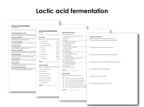 Lactic Acid Fermentation Made By Teachers