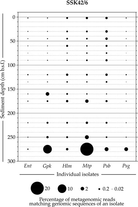Bubble Plot Showing The Percentages Of Metagenomic Reads From Download Scientific Diagram