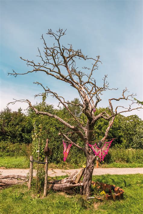 Stadsboerderij De Sibbe Caravannen