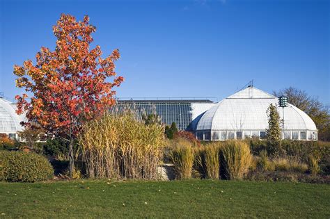 Garfield Park Conservatory In Chicago Tour A Garden Featuring Diverse