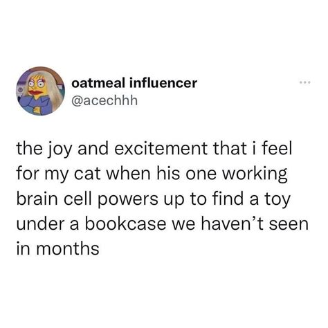 Theyre Definitely Smarter Than That Rcatmemes