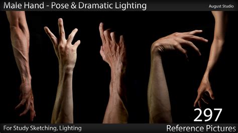 Male Hand Pose And Lighting Vol1 Flippednormals