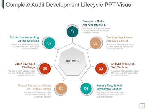 Complete Audit Development Lifecycle Ppt PowerPoint Presentation Infographic Template