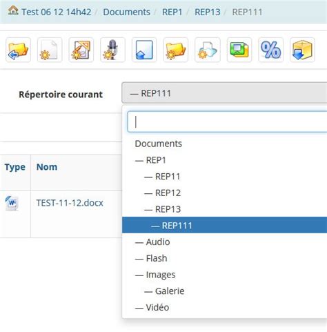 Document Tool In A Course Bug With Folder Moving Resolved · Issue 3707 · Chamilochamilo